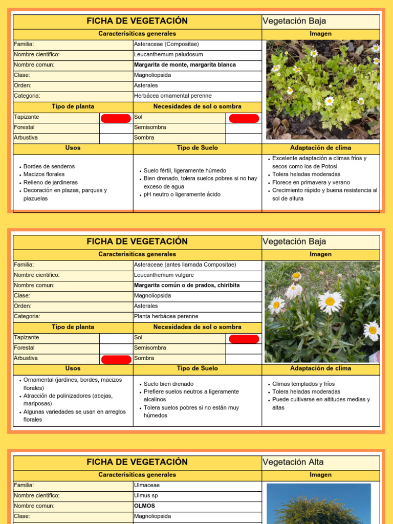 Fichas Vegetacion | PDF | Arbusto | Botánica