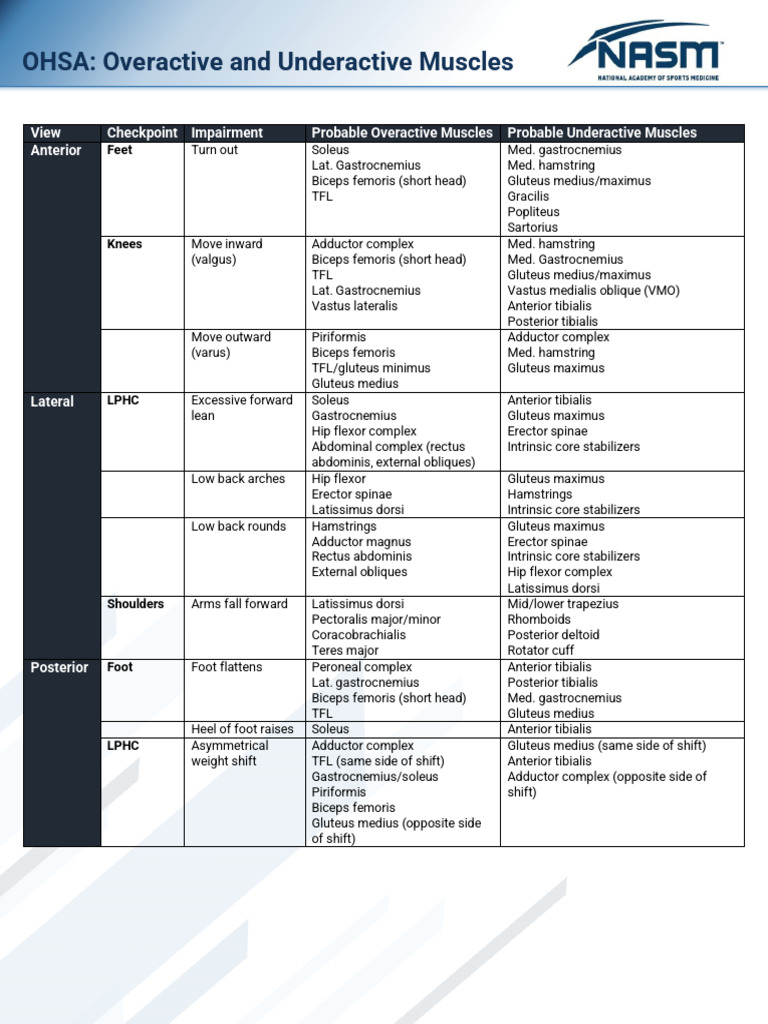 NASM PES Handout OHSA Overactive and Underactive Muscles | PDF | Foot ...