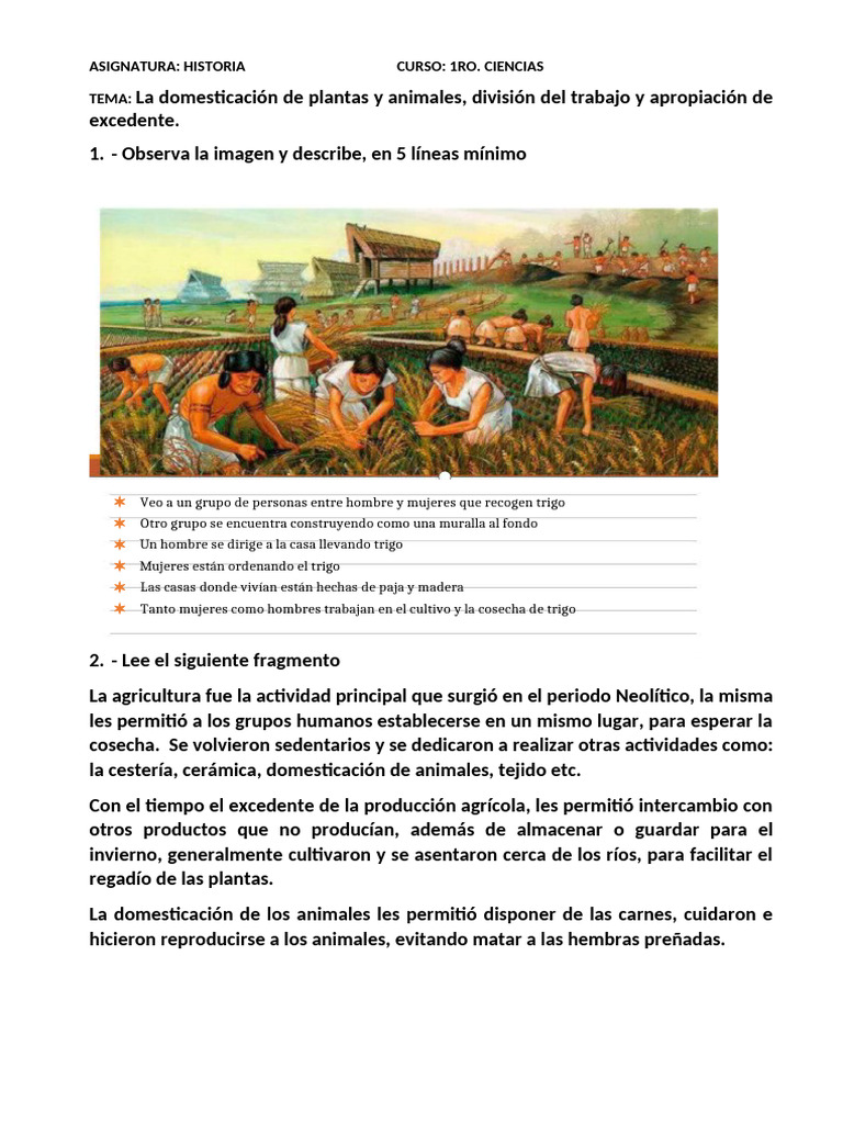 Actividad Terminada Hoja 1-2 | PDF | Agricultura | Domesticación