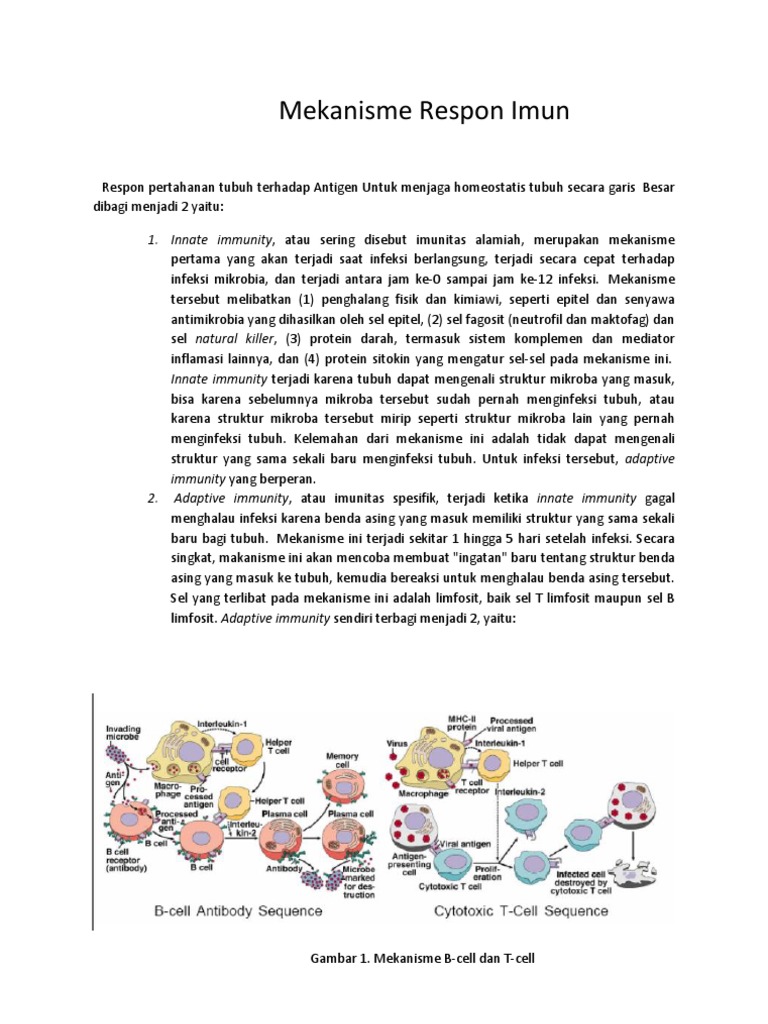 Mekanisme Respon Imun | PDF