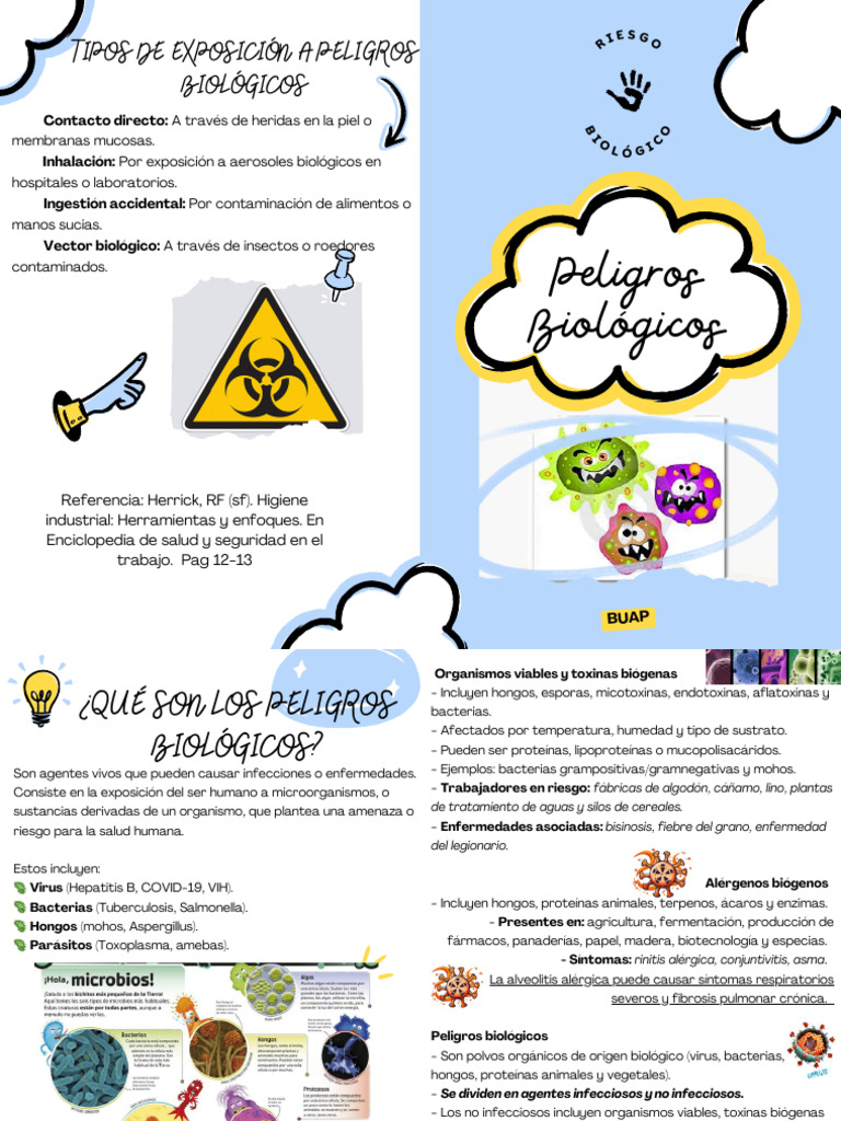 Peligros Biológicos en el Trabajo | PDF | Infección | Alergia