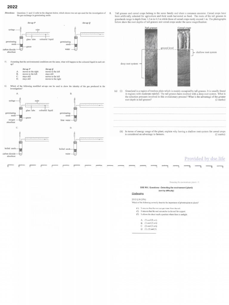 Provided by Dse - Life | PDF
