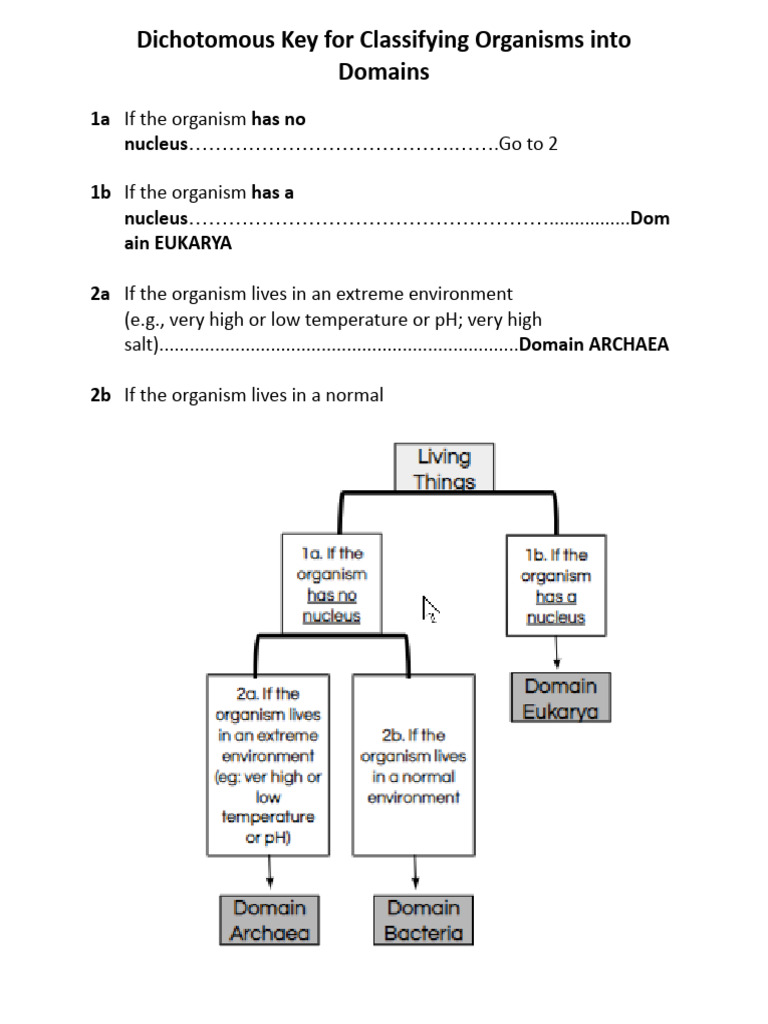 Domain Key | PDF