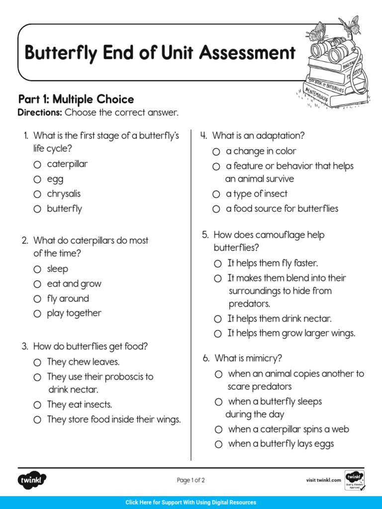 Butterfly Life Cycle Assessment Quiz | PDF | Butterfly | Insects