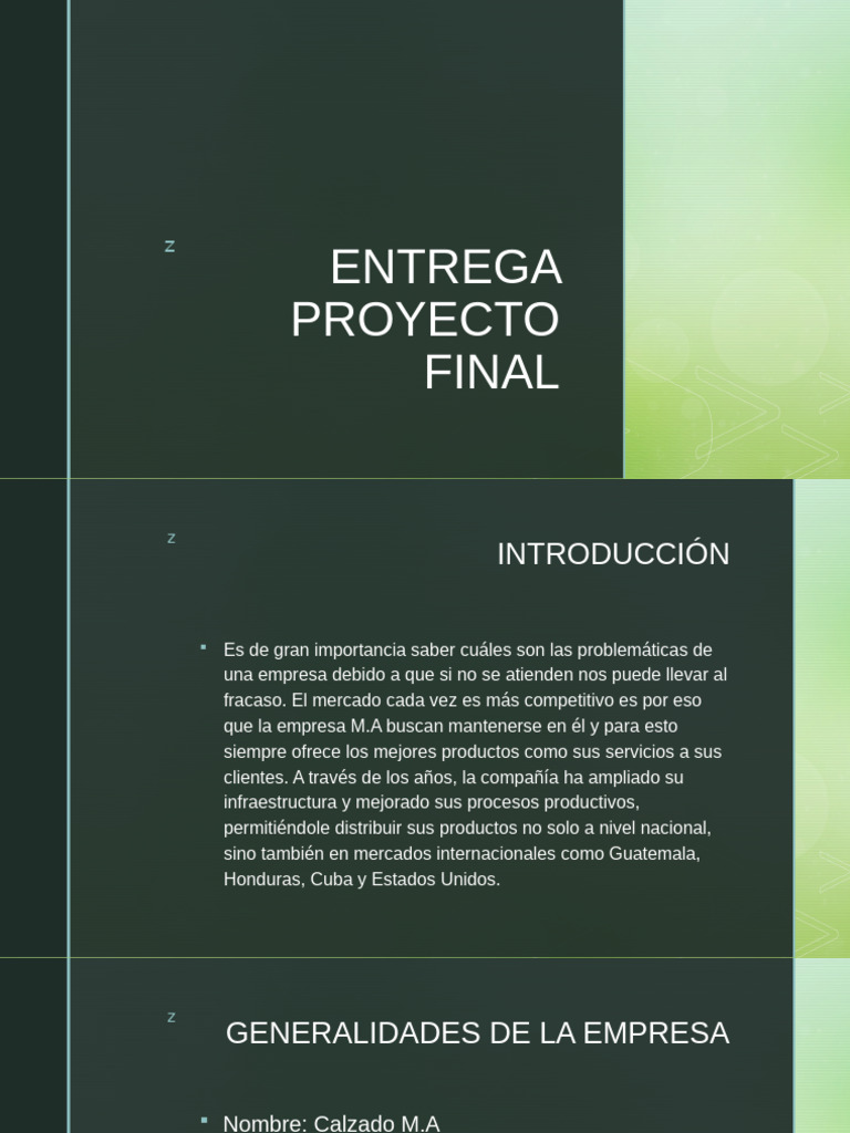 Entrega Proyecto Final | PDF