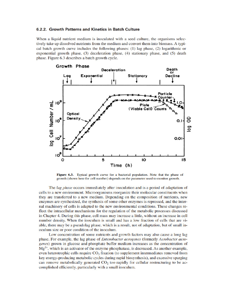 Batch Fermentation Kinetics Analysis | PDF