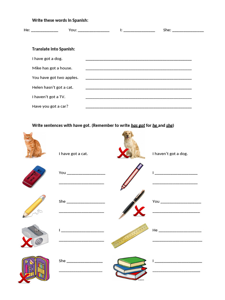 Have got + school material | PDF