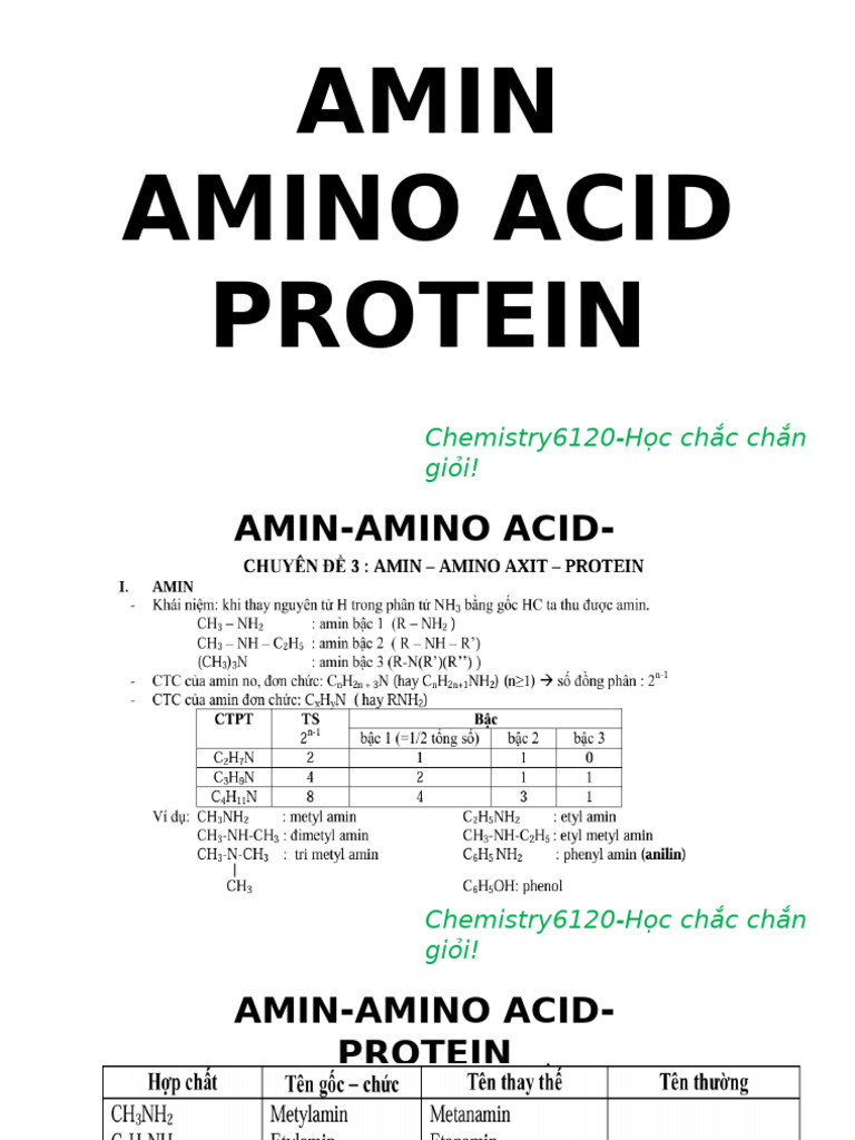 Amin-Amino Acid | PDF