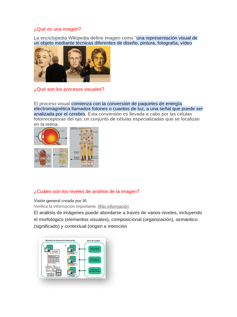 Definición y análisis de imágenes | PDF | Análisis técnico | Percepción ...