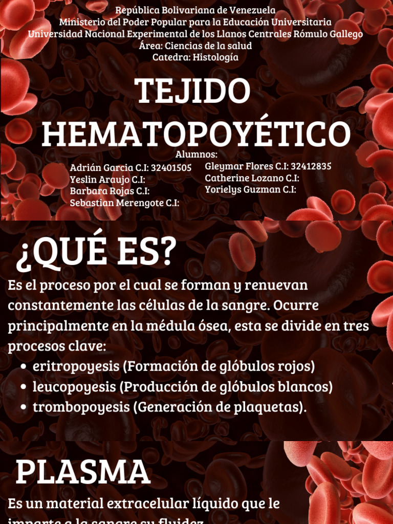 Sistema Hematopoyético (1) .PDF - 20250428 - 013649 - 0000 | PDF | Hematopoyesis | Sangre