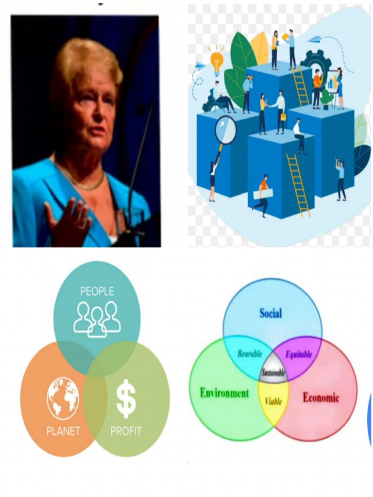 Sustainable Development Projects | PDF