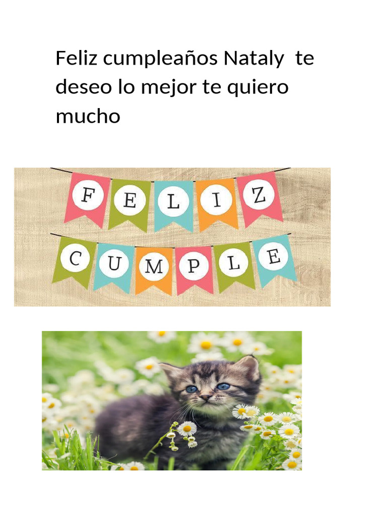 Feliz Cumpleaños Nataly Te Deseo Lo Mejor Te Quiero Mucho | PDF