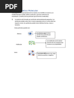 Modelo cinético corpuscular de la materia | PDF