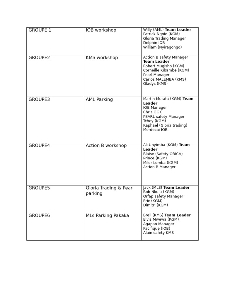 VFL - Cross Function Inspections Open Cast | PDF