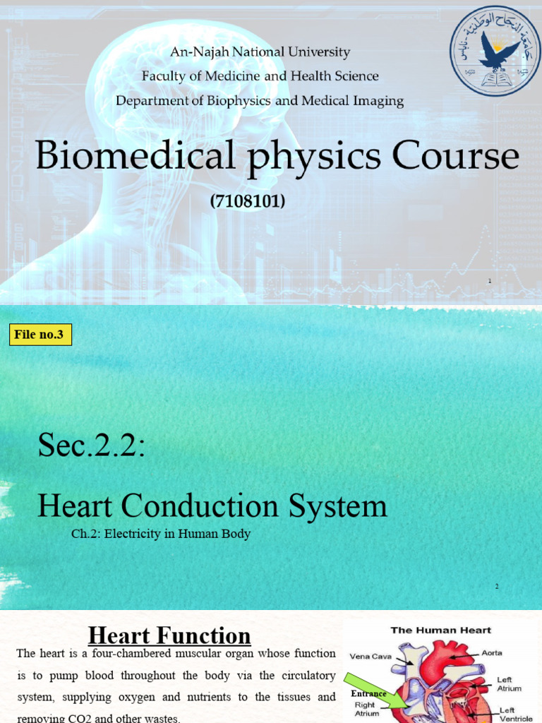Chapter 2.2 Electricity of The Heart and ECG | PDF | Heart | Morphology ...