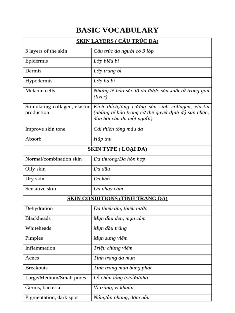 Basic Vocabulary | PDF