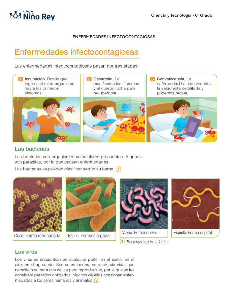 Enfermedades Infectocontagiosas | PDF