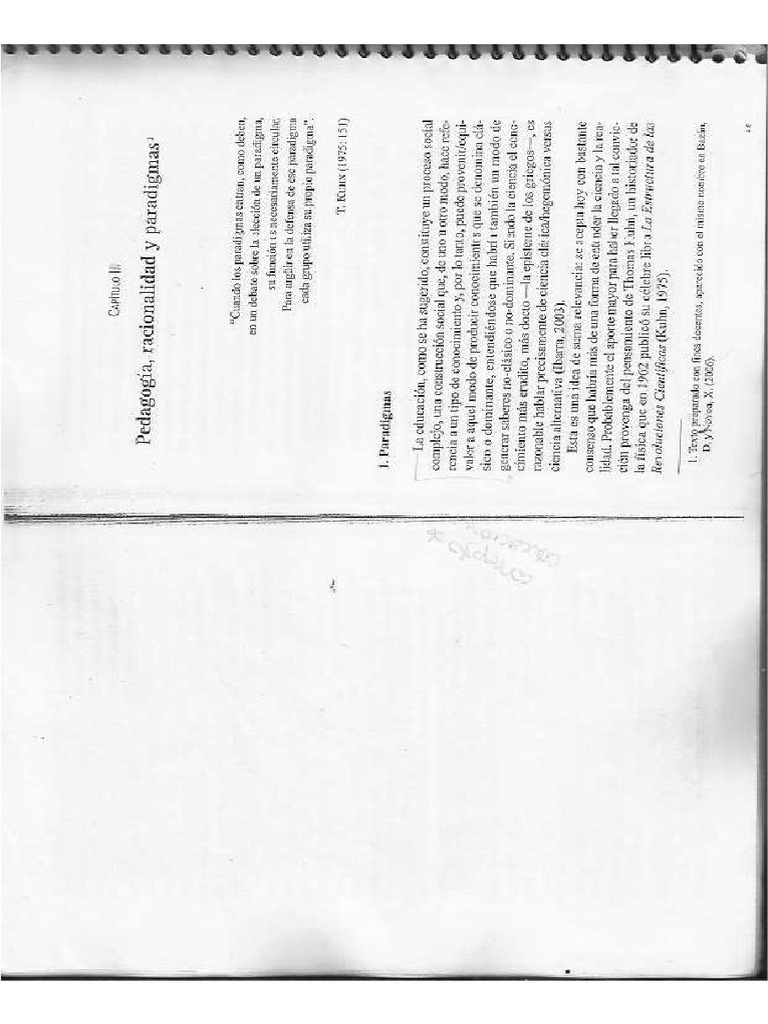 Bazan Campos Paradigmas | PDF