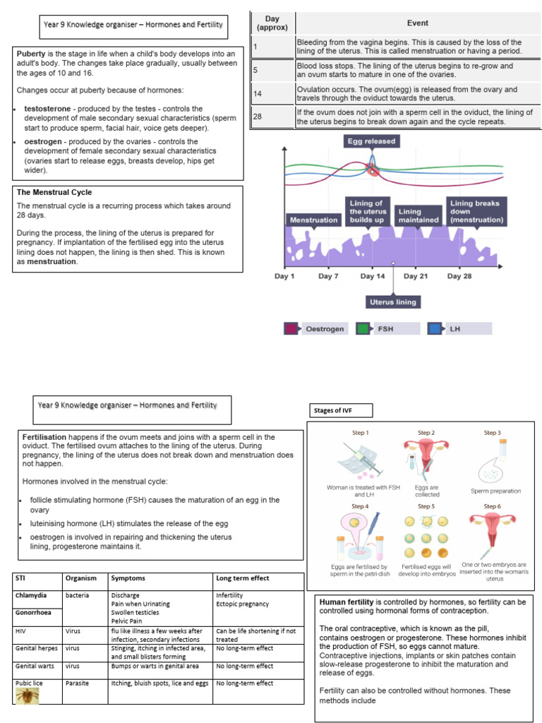 KNOWLEDGE ORANISER Y9 Term 2 Hormones and Fertility | PDF | Menstrual ...