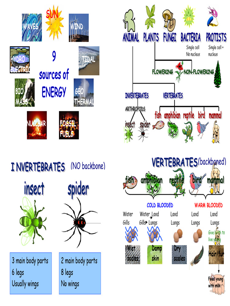 Full Checkpoint Review Flashcards Large | PDF | Rock (Geology) | Metals