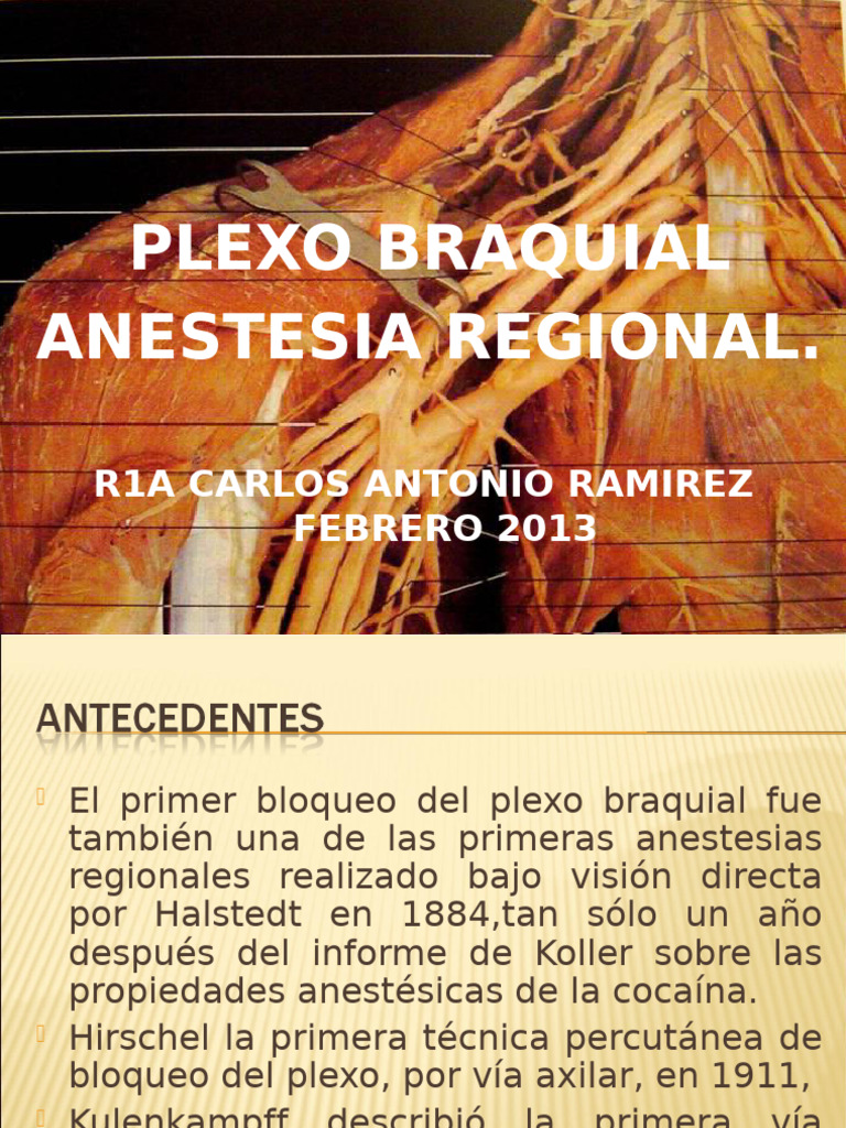 PLEXO | PDF | Sistema musculoesquelético | Anatomía humana