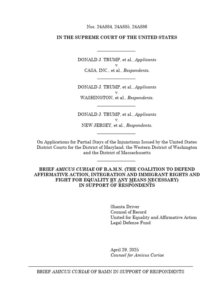 BAMN Brief For Birthright Citizenship | PDF | Dred Scott V. Sandford | Citizenship
