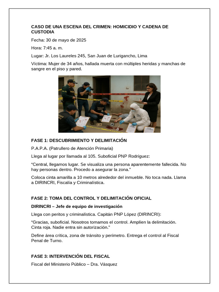 Caso de Una Escena Del Crimen | PDF