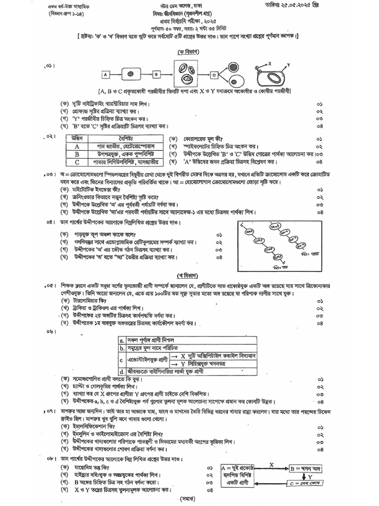 NDC Year Final Biology Questions 2025 | PDF