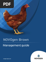 Hisex Brown Layer Management Guide | PDF | Selective Breeding | Chicken