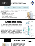 Guía Integral para Lesión Medular | PDF | Lesión de la médula espinal ...