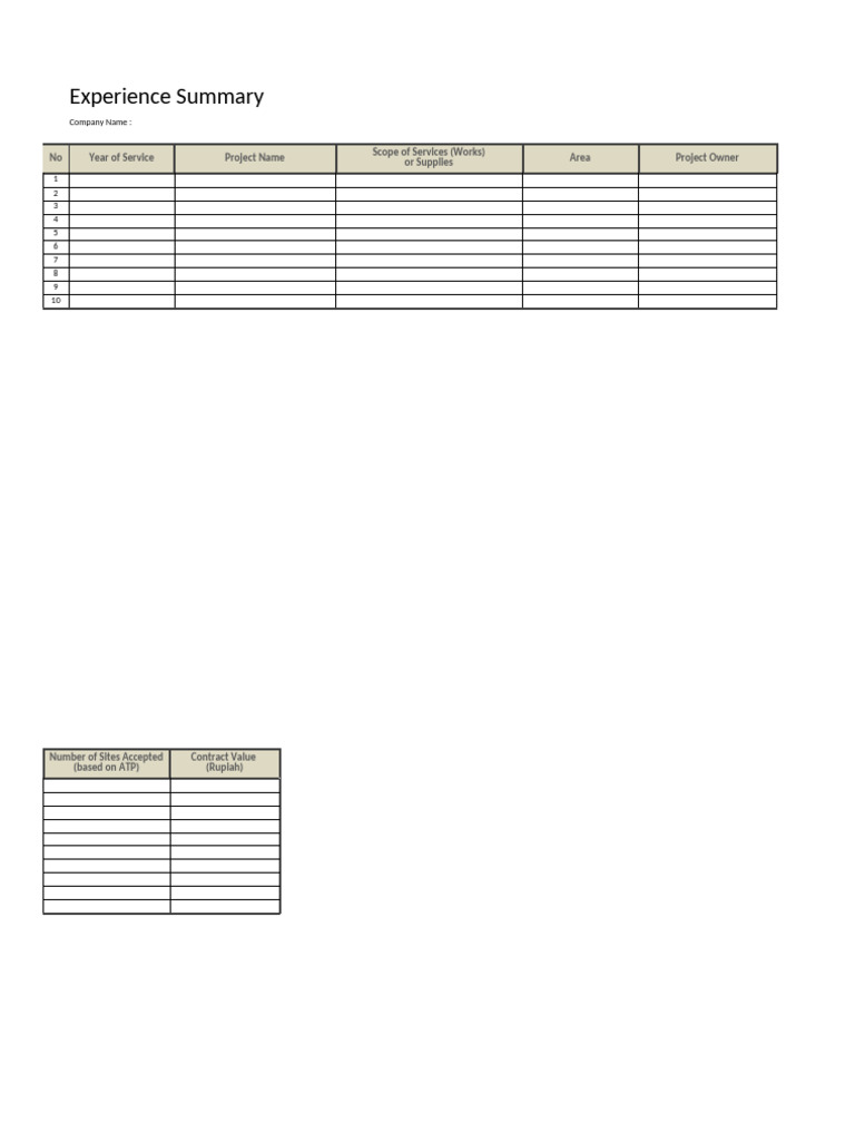 Project Experience Summary Template | PDF
