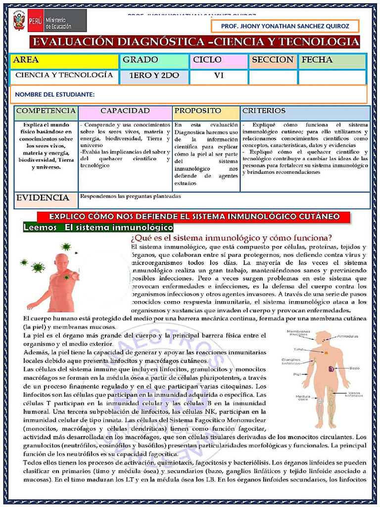 Evaluacion Diagnostica - 1ero y 2do Grado-Ciencia y Tecnologia - 00001 ...