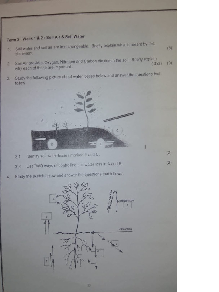 Grade 11 Agricultural Sciences | PDF | Soil | Organic Matter