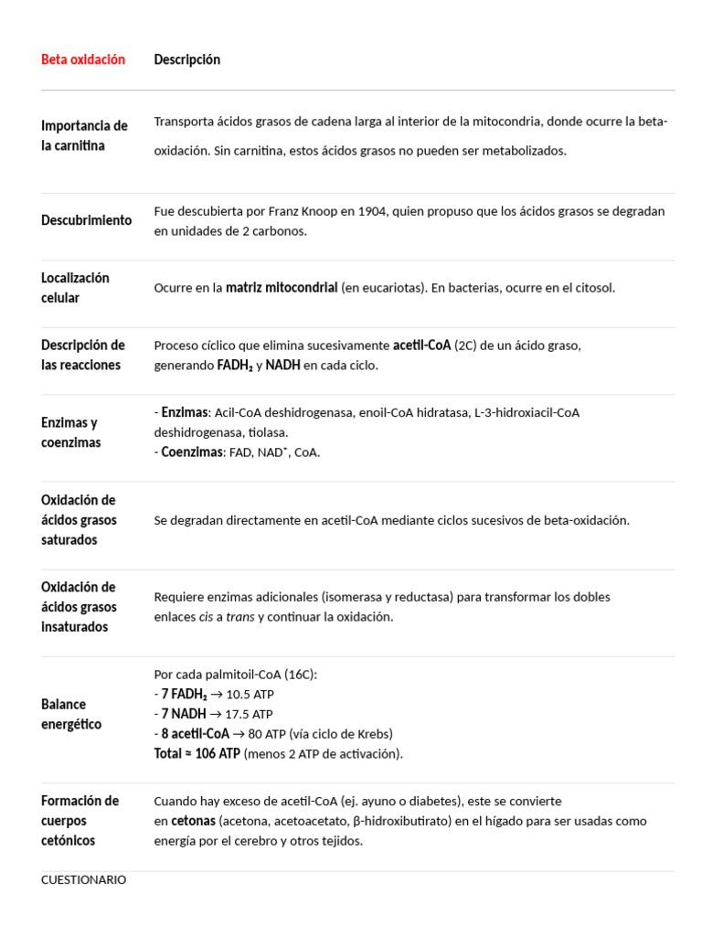 Beta Oxidación: Proceso y Energía | PDF | Biología Celular | Nutrientes