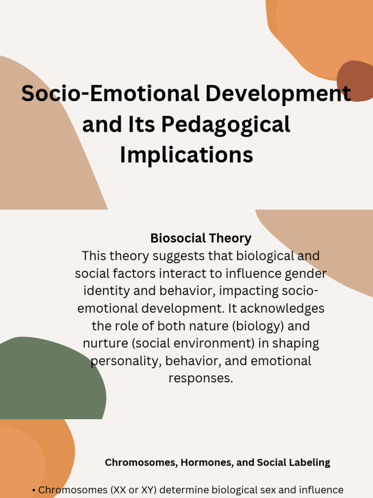 Socio-Emotional Development Factors | PDF
