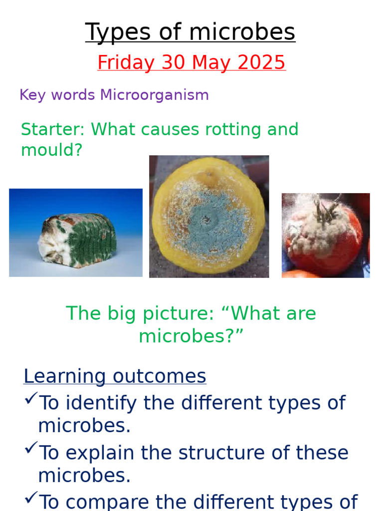 Types of Microbes | PDF