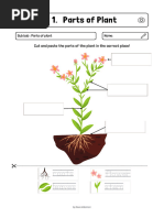 Worksheet Science Grade 4 (Part of Plants) | PDF | Plant Stem | Leaf