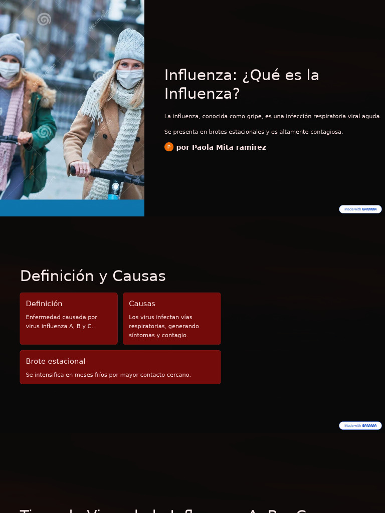 Influenza Que Es La Influenza | PDF | Influenza | Infección