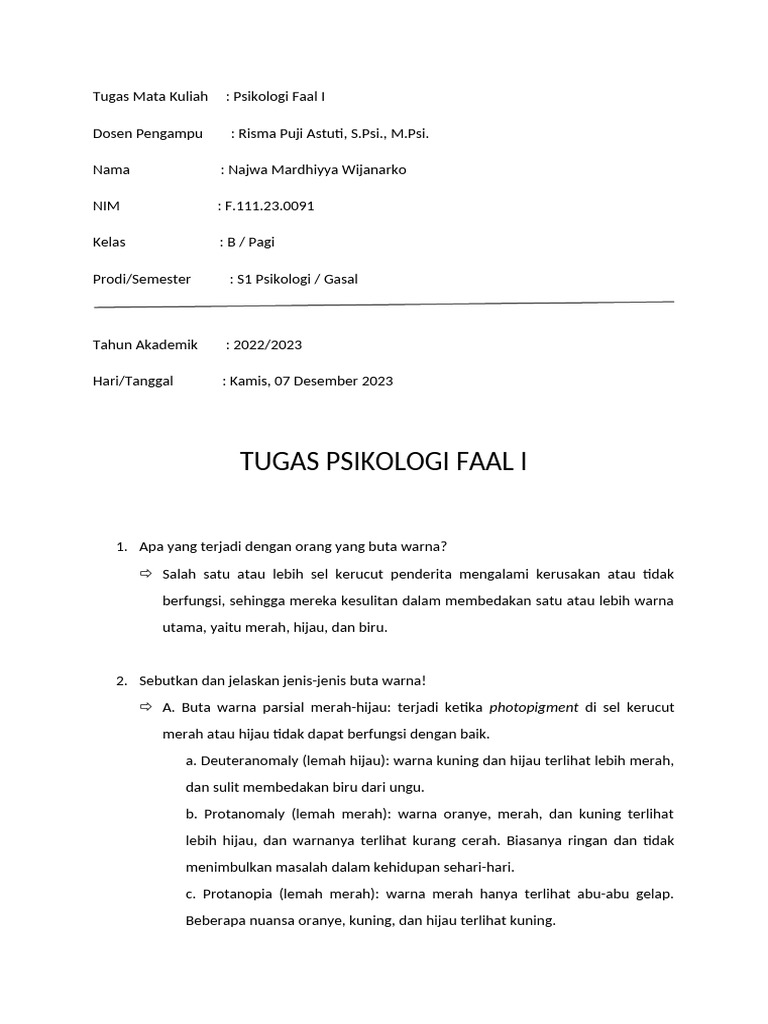 Psikologi Faal Indera Penglihatan | PDF
