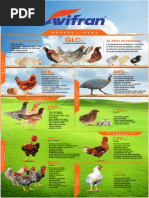 Tabela de Anilhas FOB 2025 | PDF | Aves | Ornitologia