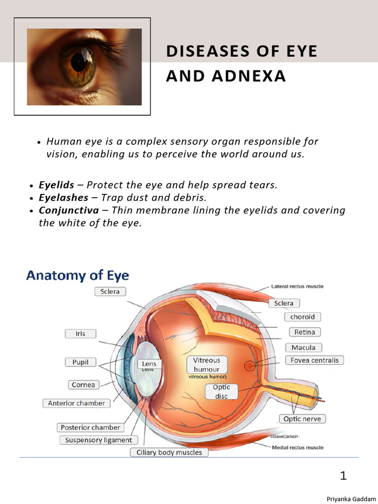 DISEASES OF EYE AND ADNEXA Guidelines | PDF | Glaucoma | Cataract