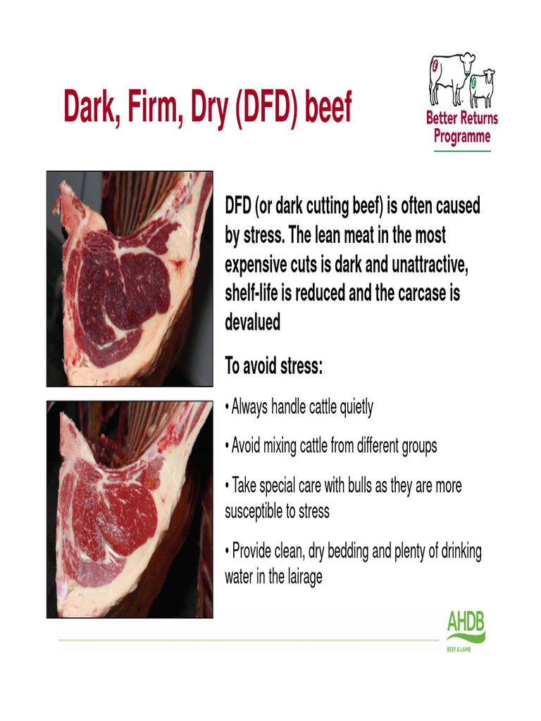 Carcase Characteristics | PDF