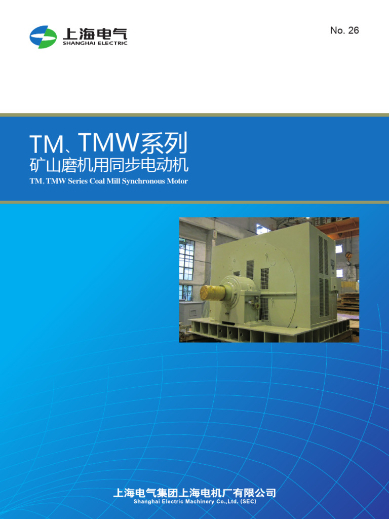 TM TMW Series Coal Mill Synchronous Motor | PDF