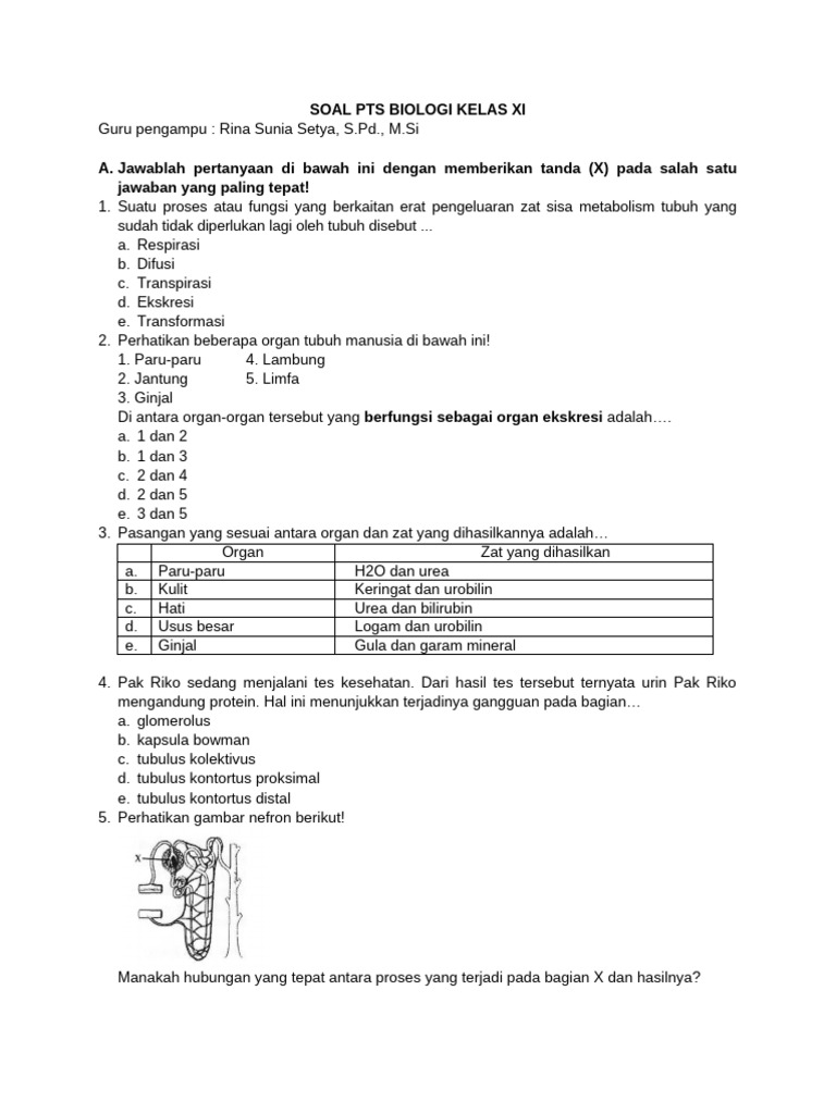 soal PTS Biologi genap kelas XI | PDF