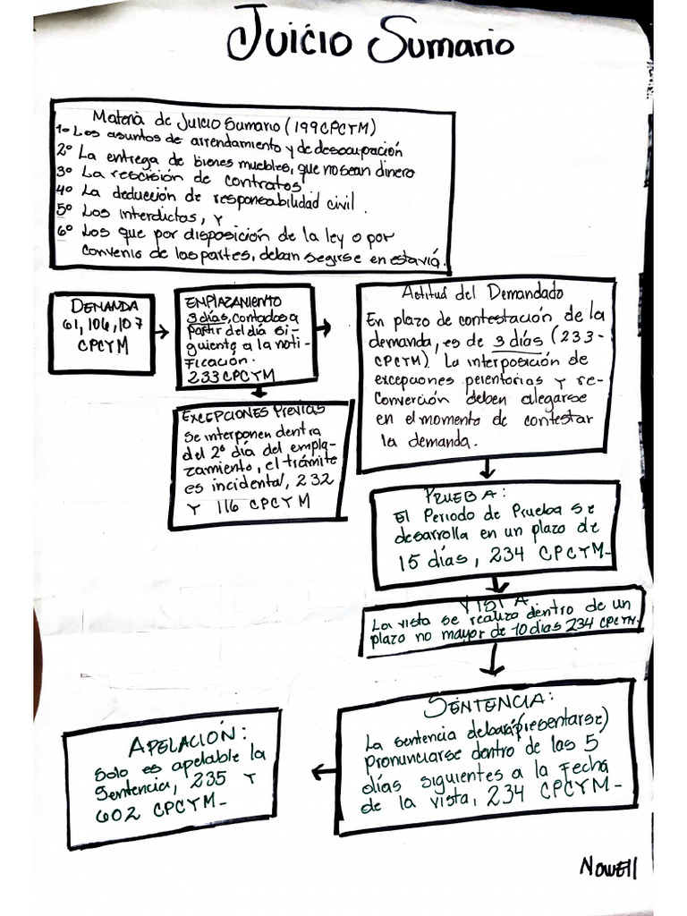 Juicio Sumario | PDF