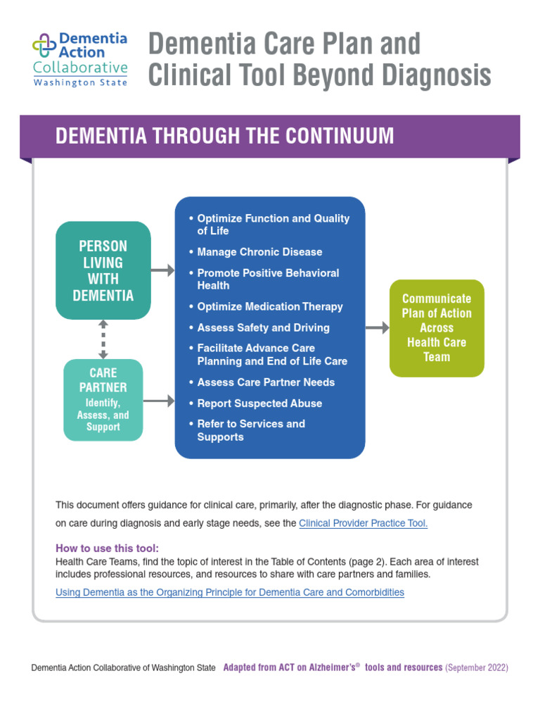 Dementia Care Plan and Clinical Tool Beyond Diagnosis | PDF ...