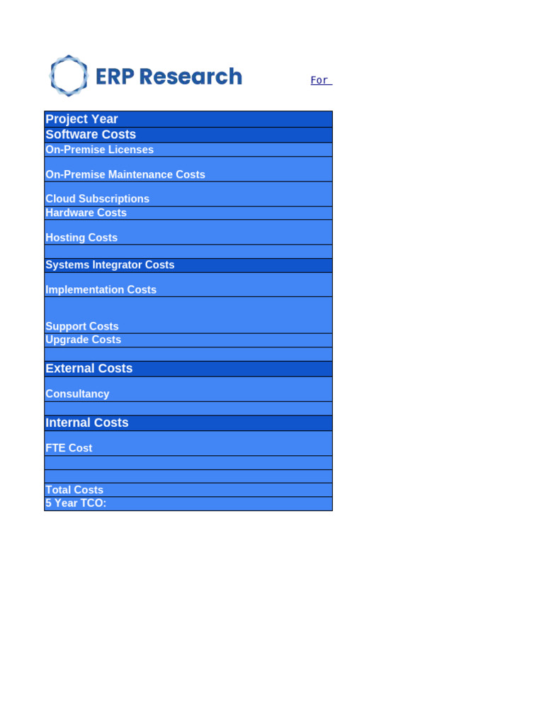 ERP Budget Calculator | PDF