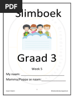 Za Fal 1730631040 Hoe Om N Dagboekinskrywing Te Skryf | PDF