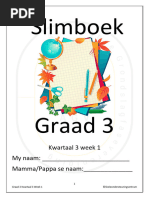 Leesbegrip - Graad 1 | PDF