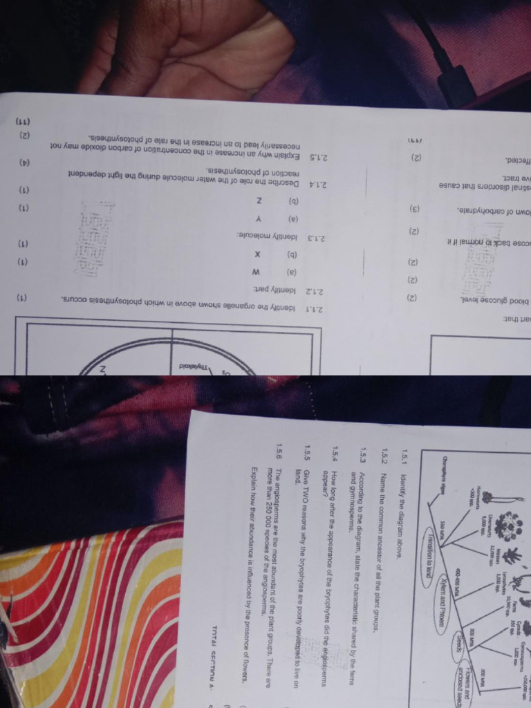Answered Questions | PDF